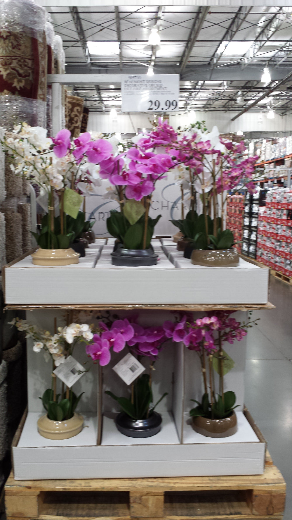 COSTCO Road Show – Jenny Silks