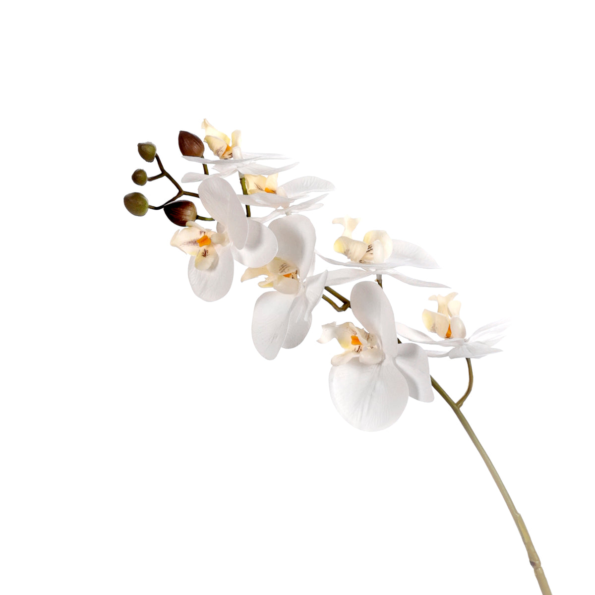 26" Real Touch Phalaenopsis Cream Orchid x7 Flowers (12 Pcs Per Box ...